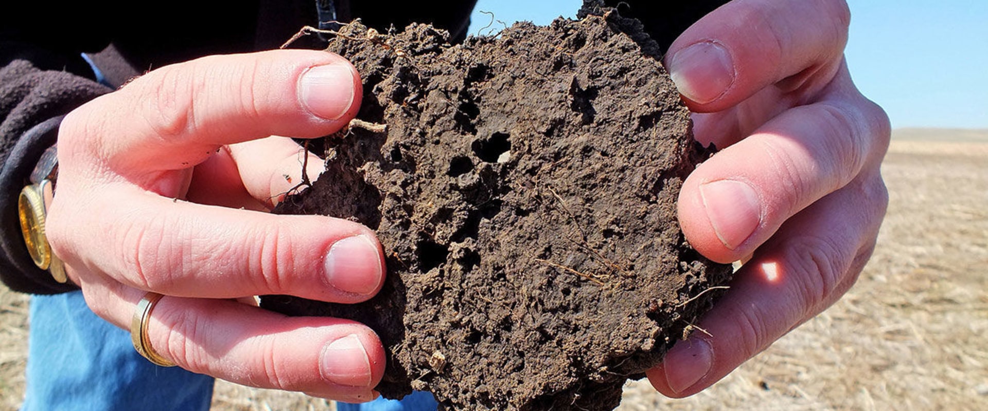 Understanding Soil Analysis Results