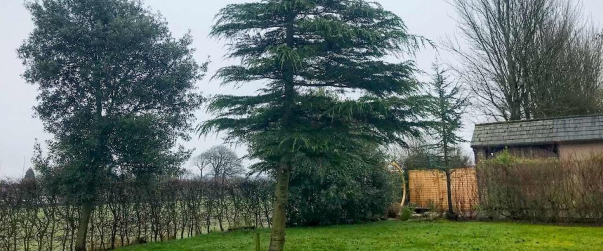 Crown Lifting: Everything You Need to Know